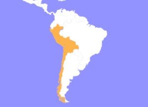 Alpaca - Cub Creek Science and Animal Camp