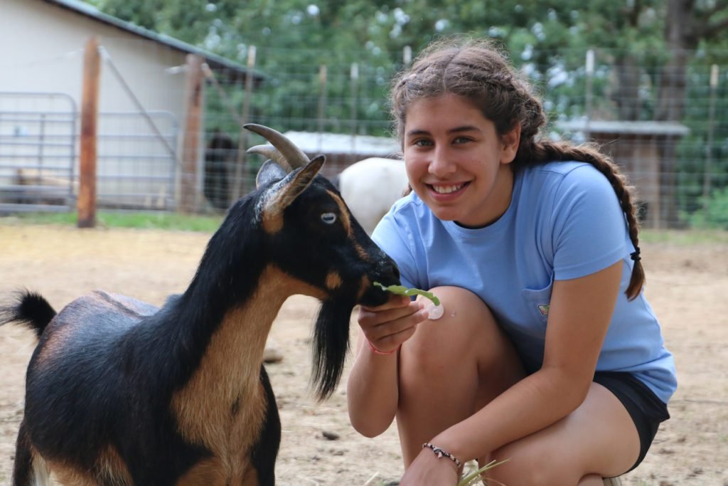 African Pygmy Goat - Cub Creek Science and Animal Camp